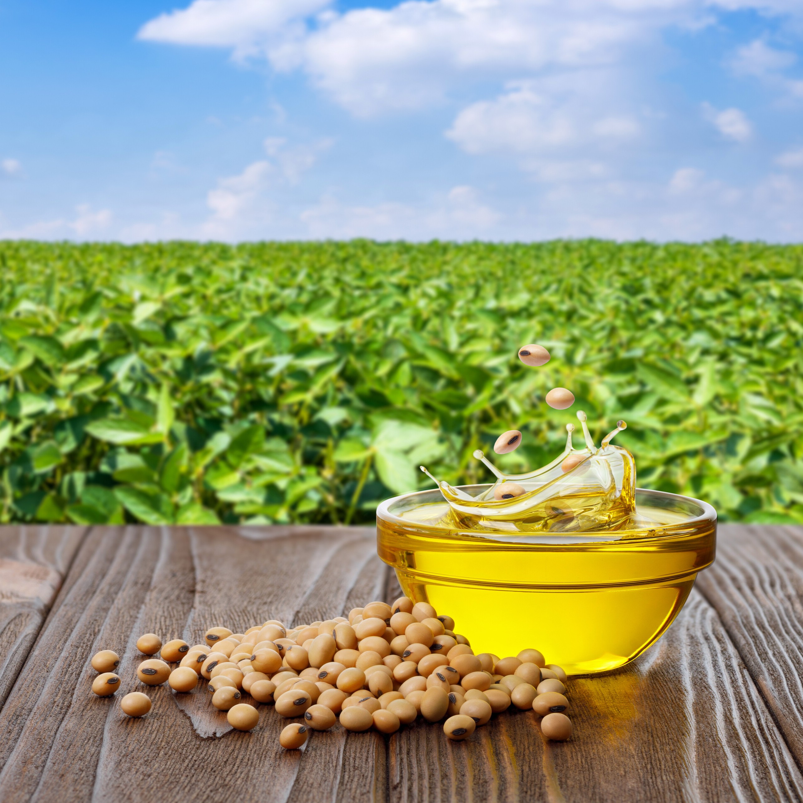 Olej Sojowy w Cysternach - Zaspokój swoje zapotrzebowanie już teraz!