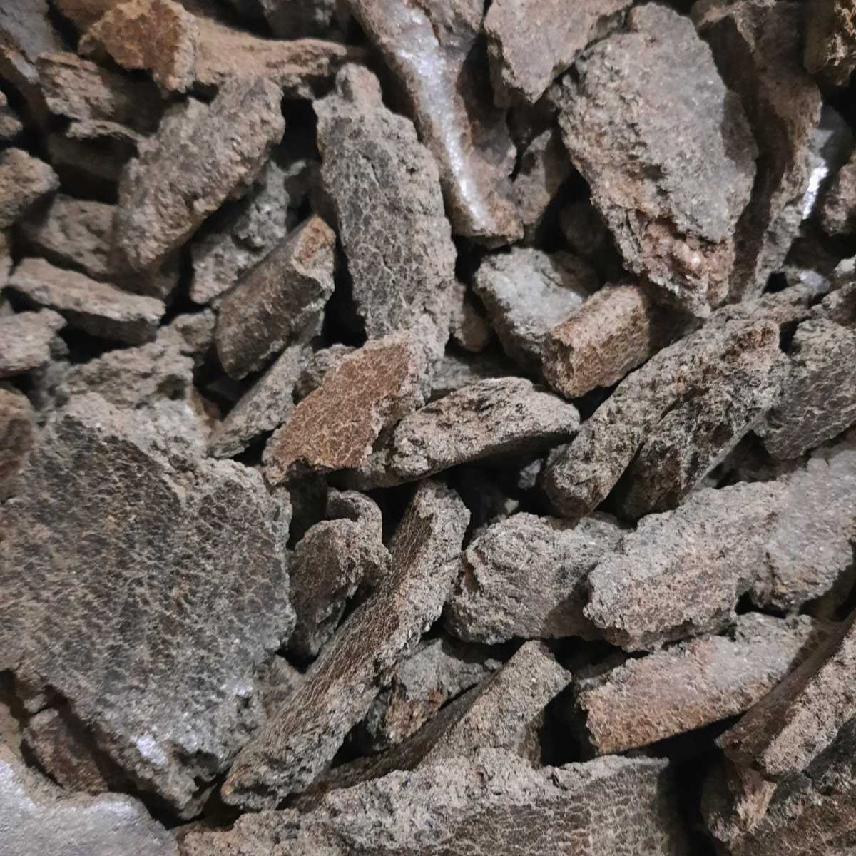 Makuch Słonecznikowy: Zdrowa Pasza dla Zwierząt. Popraw ich dietę!